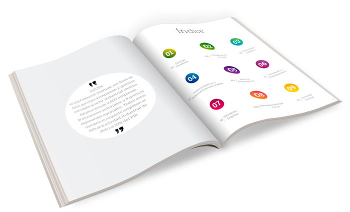 Memoria Anual Sofofa 2013 | Elizabeth Vargas Barham. Diseñadora en Comunicación Visual