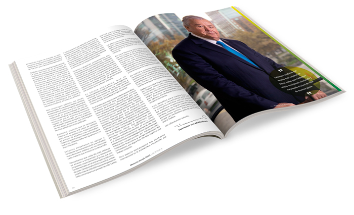 Memoria Anual Sofofa 2013 | Elizabeth Vargas Barham. Diseñadora en Comunicación Visual