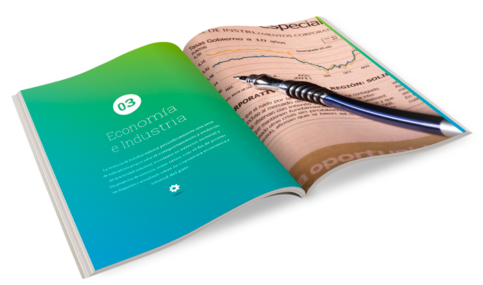 Memoria Anual Sofofa 2013 | Elizabeth Vargas Barham. Diseñadora en Comunicación Visual